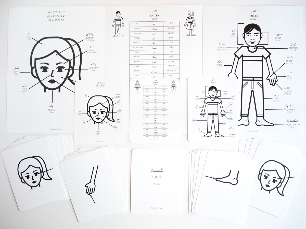 Persian / Farsi Body Parts Learning Set – Little Persian