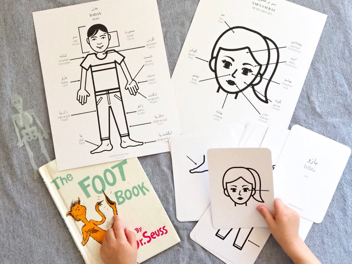 Persian / Farsi Body Parts Learning Set – Little Persian